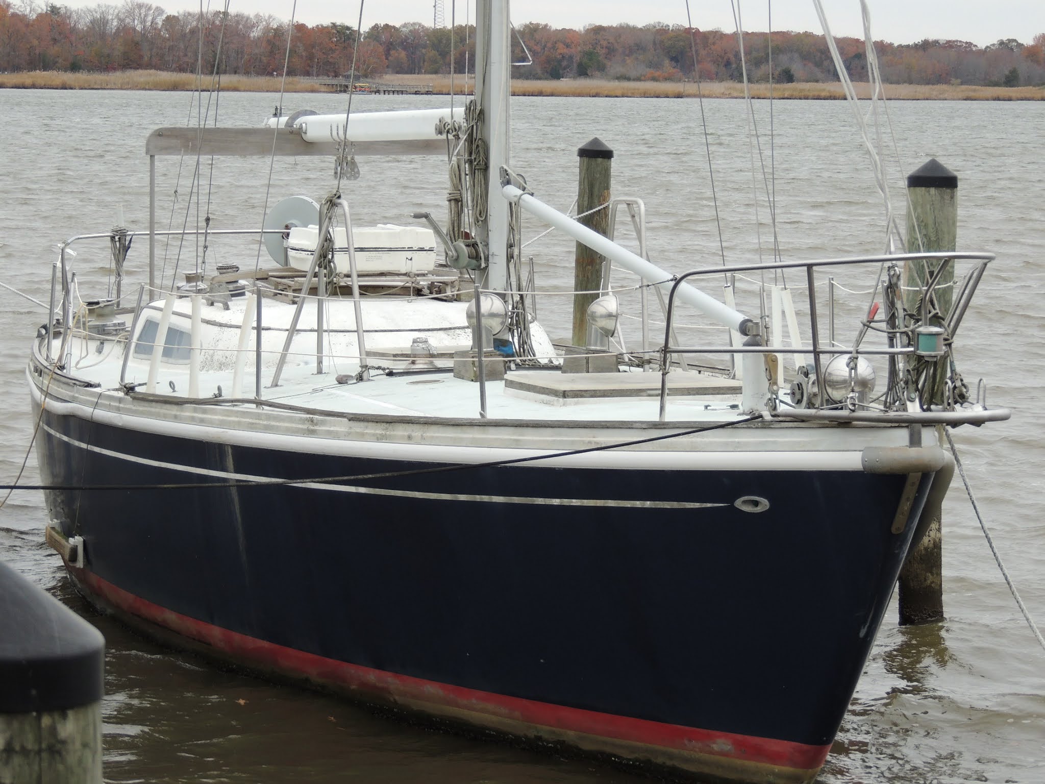 The Log of Hagoth: 2021