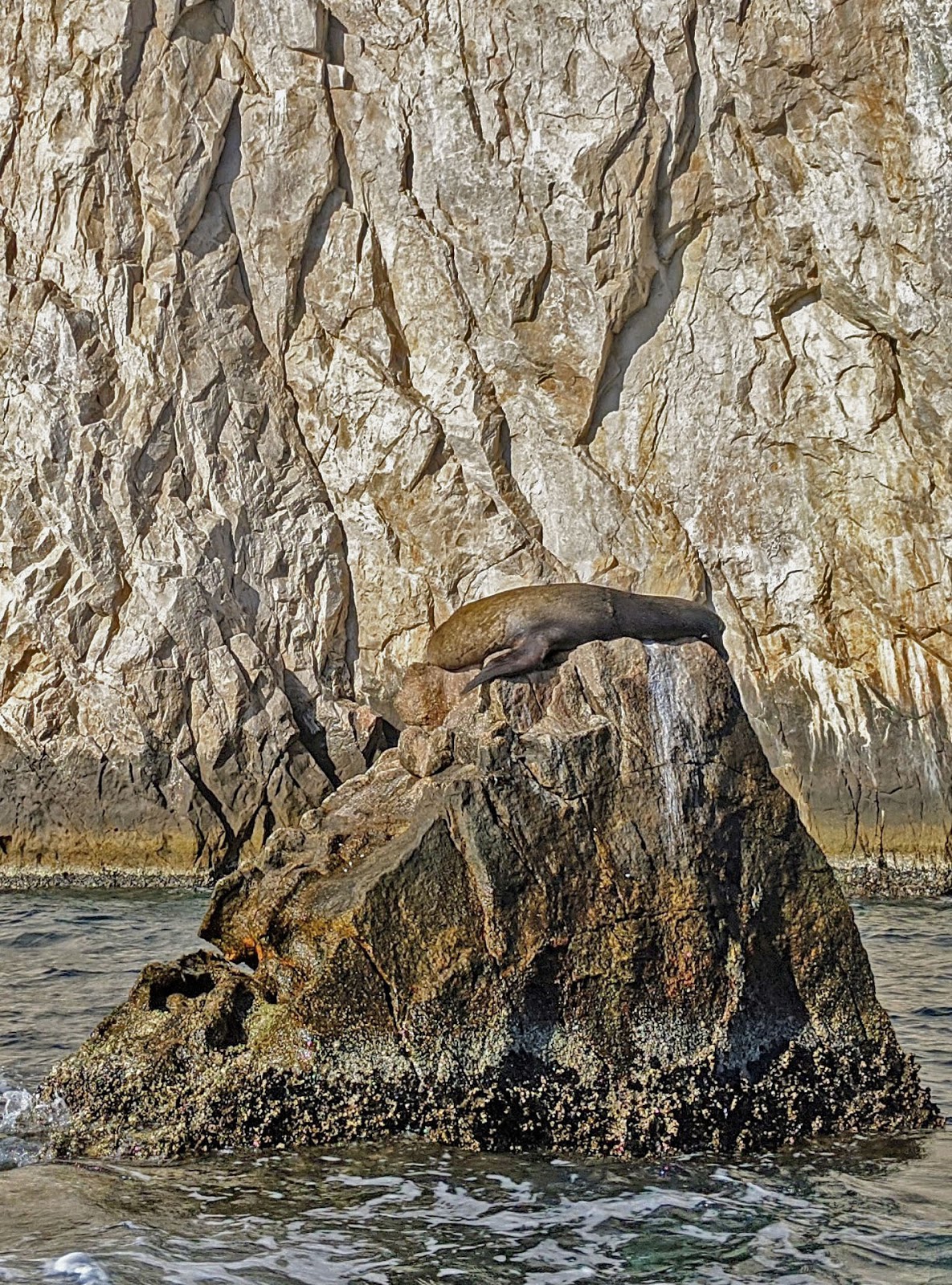 Around the World With Uncle Moose: 2019