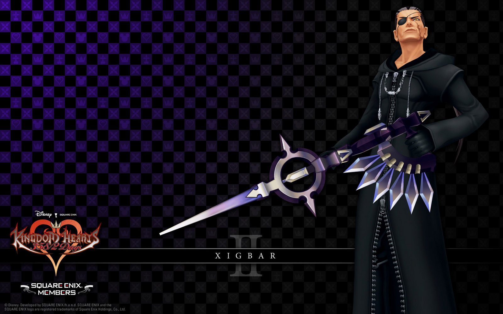 Final Kingdom: Organization XIII wallpapers.