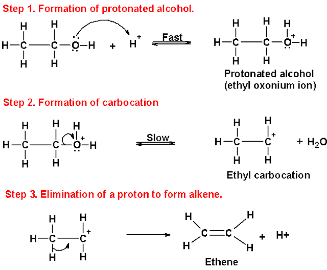 Reaction Mechanism Class 12