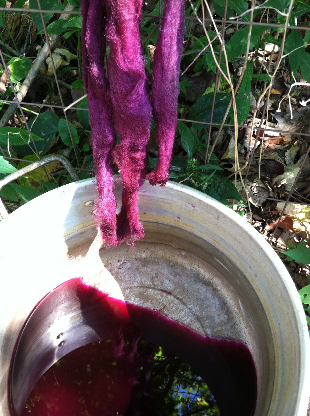 Ithaca Waldorf Handwork & more: Pokeweed Plant Dyeing