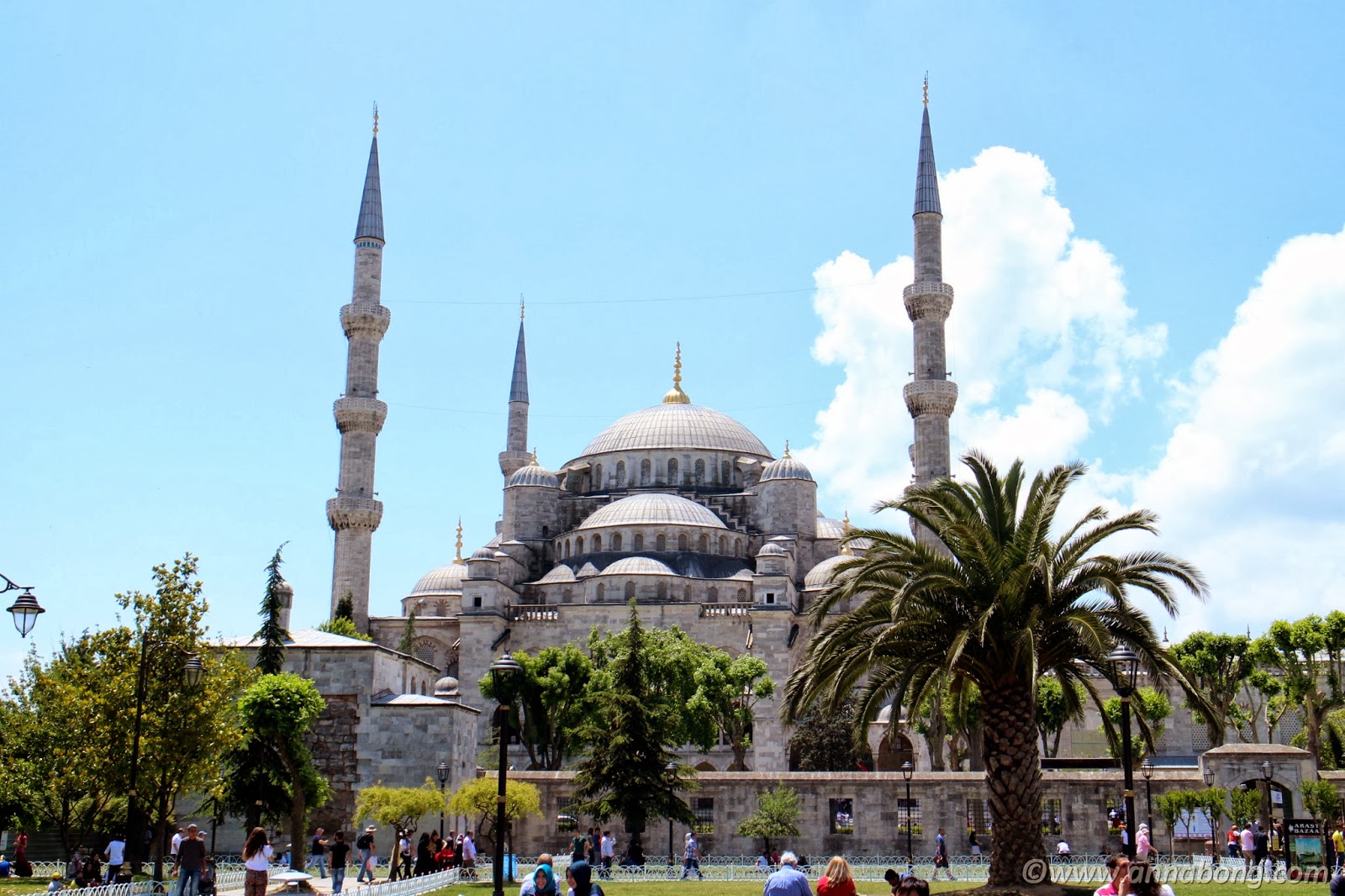 Every footstep is a walk to remember.: February 2014