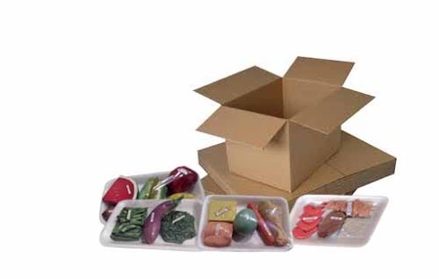 Jual Food Model Gizi, Harga Terbaru