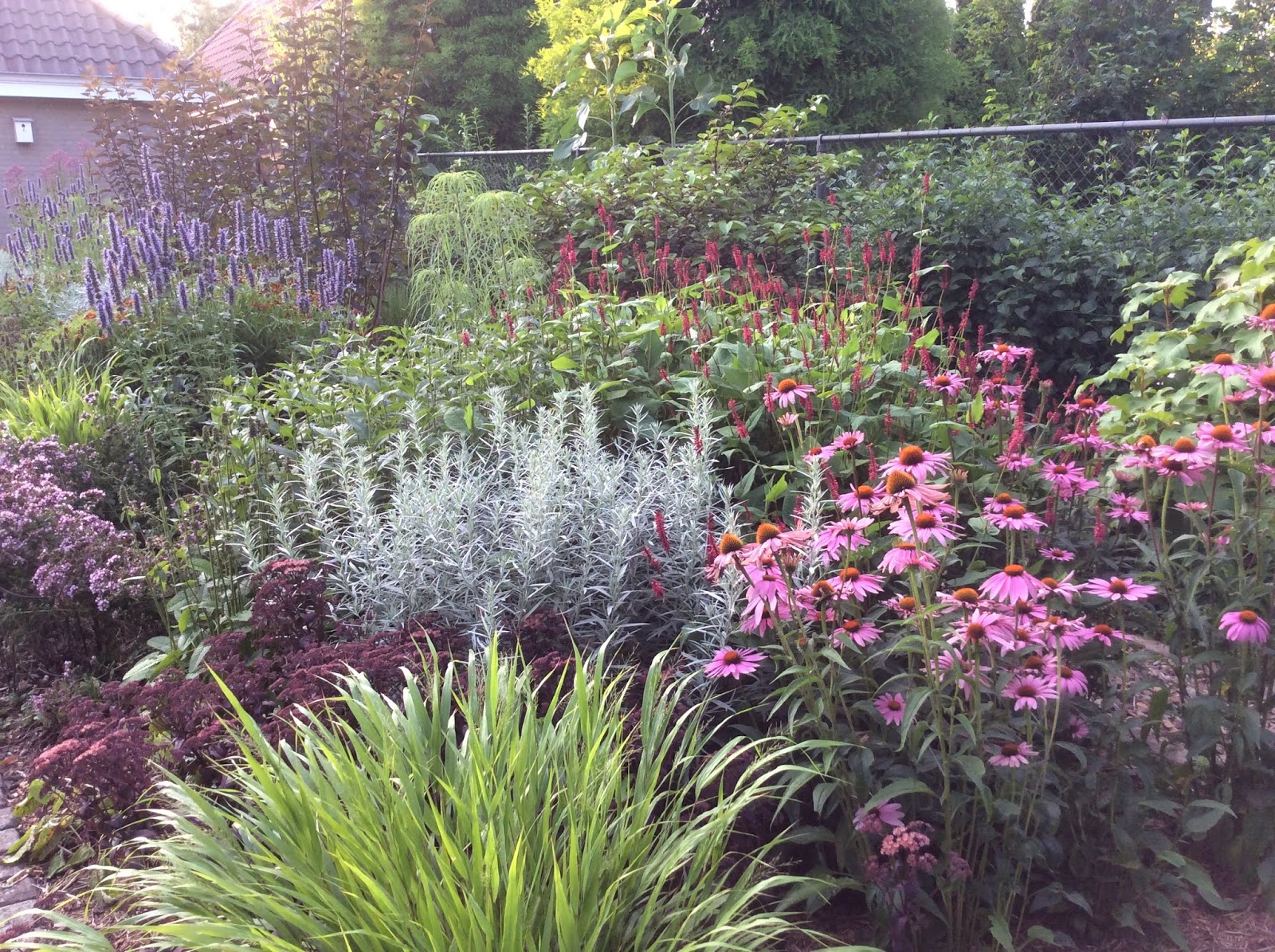 Hoe maak je een beplantingsplan voor je tuin?