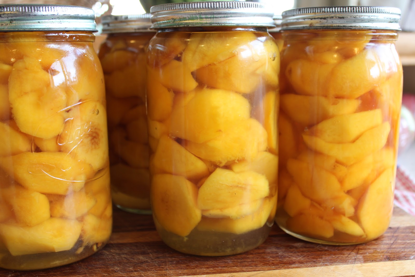 Green Urban Living- living the good life in my backyard: Storing the ...