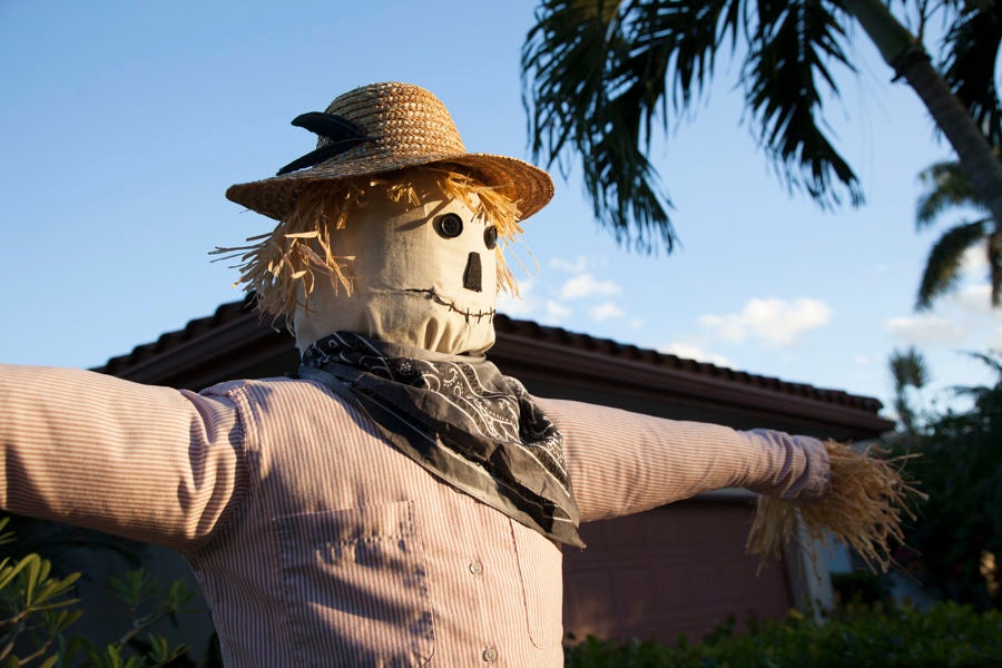 Momo celebrating time to read: Small Spaces by Katherine Arden