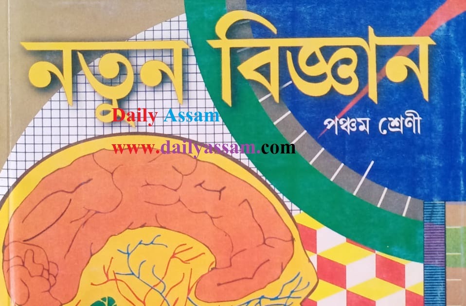 Class 5 Science AJB Assam Jatiya Bidyalaya Class 5 Science Question class-5-science-ajb-assam-jatiya-bidyalaya-class-5-science-question