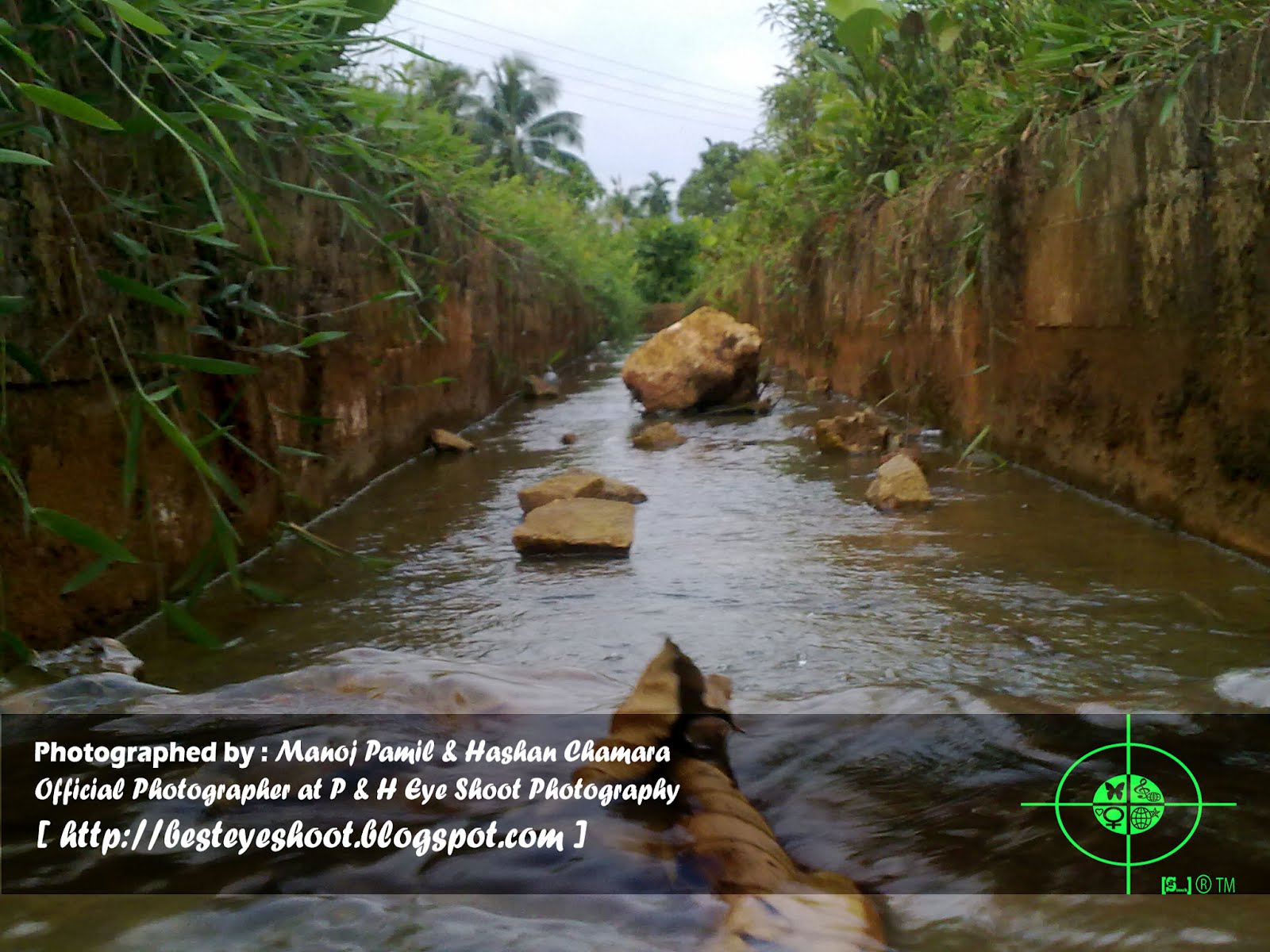 Sri Lanka Best Nachural Photography P & H Eye Shoot Photography - P & H ...