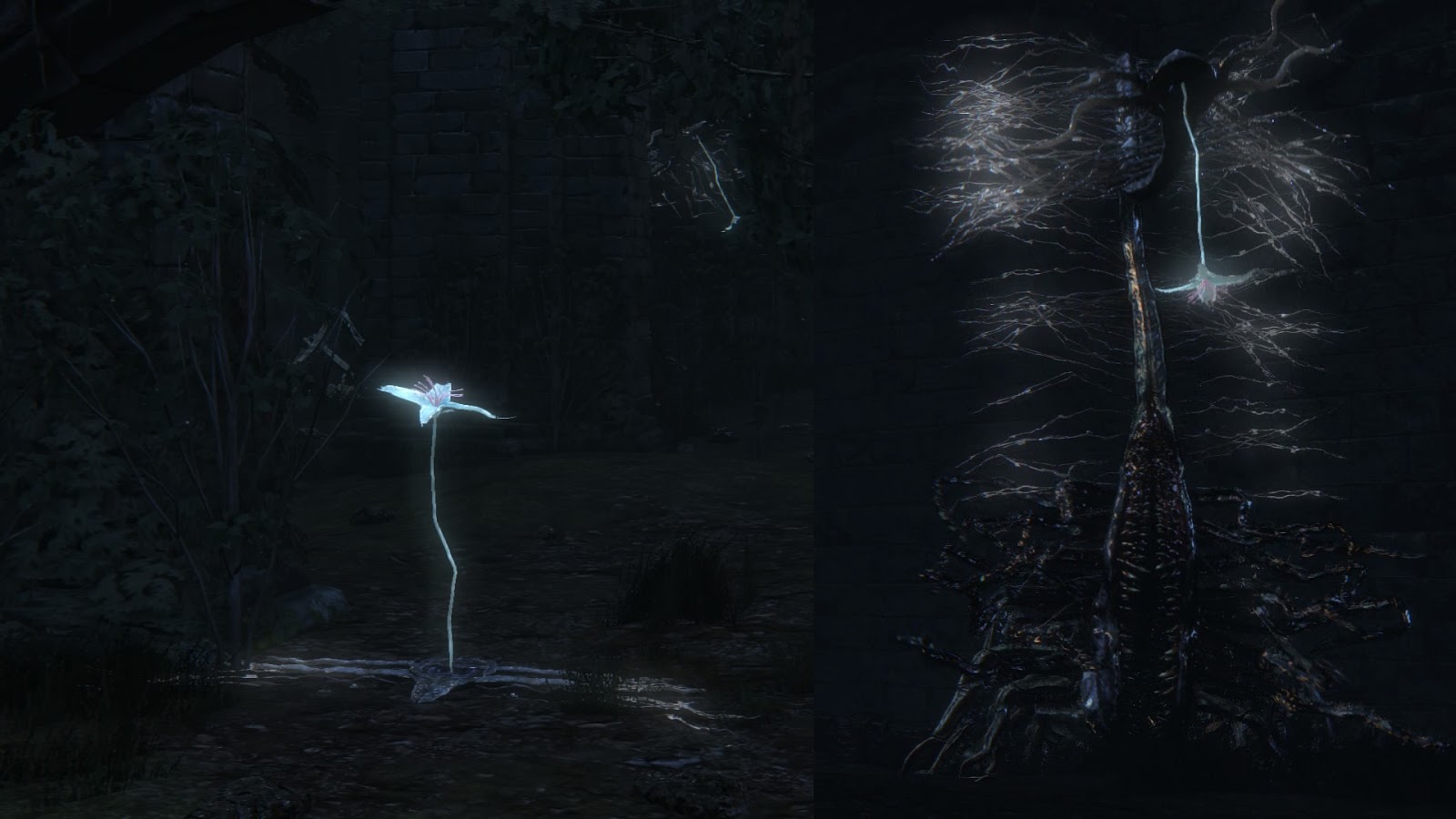 Fluorescent Flower | Bloodborne Wiki