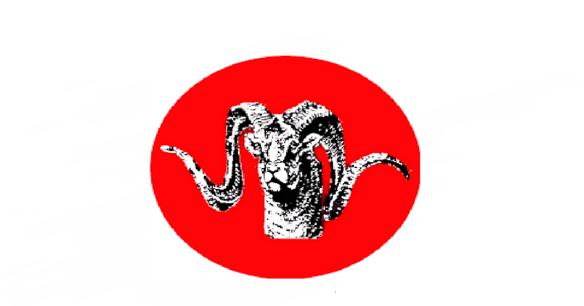 Frontier Works Organization (FWO) Jobs 2021 in Pakistan - Army Latest ...