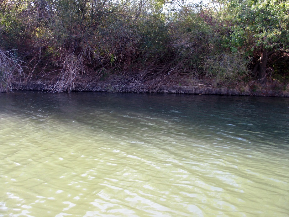 Una vita per la pesca: 7 ottobre 2011 - Fiume Basento a Calciano
