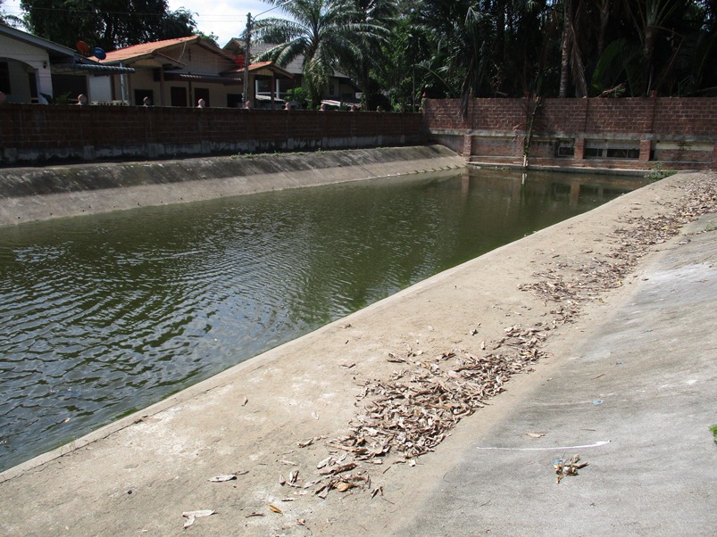SENI LAMA MELAYU (MALAY OLDEN ART): Tinggalan parit kota lama Chaiya ...