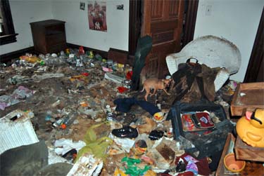 Four legged friends (and enemies): Virginia: Inside the world of animal ...