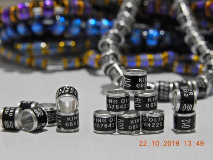 Jual Ring Burung | Jasa Pembuatan Ring Burung Paling Murah [Garansi]