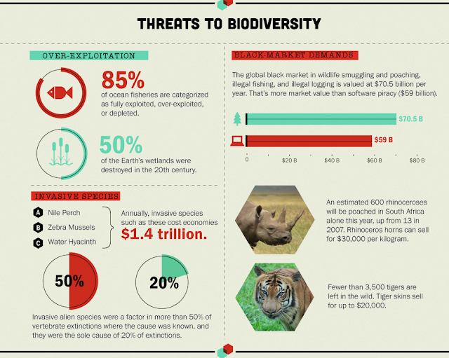 C U B E: Threats to Biodiversity (Infographic) - WORLD BANK