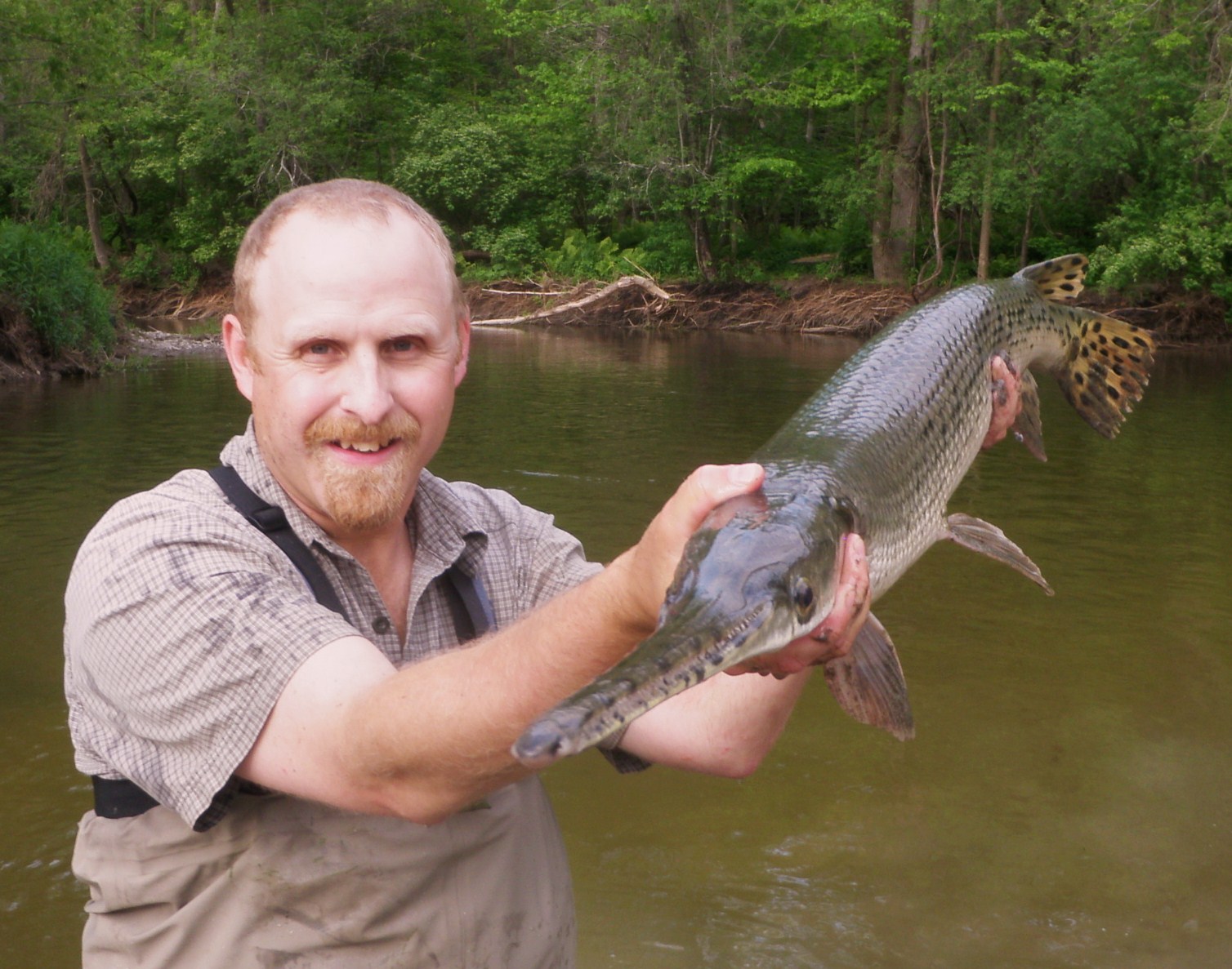 The Adventures and Musing of Drew Price, Angler: Gar-gantuan!