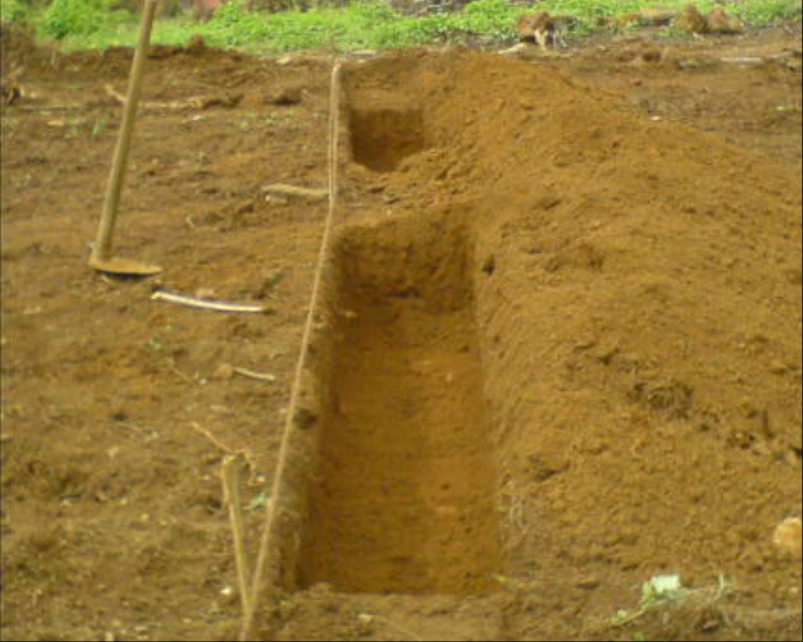 Land Preparation for Tea, Land Selection for tea, Rehabilitation of tea ...