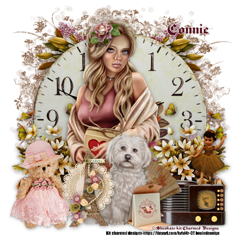 BOULEDENEIGE ET SES CT: CHARMED DESIGNS