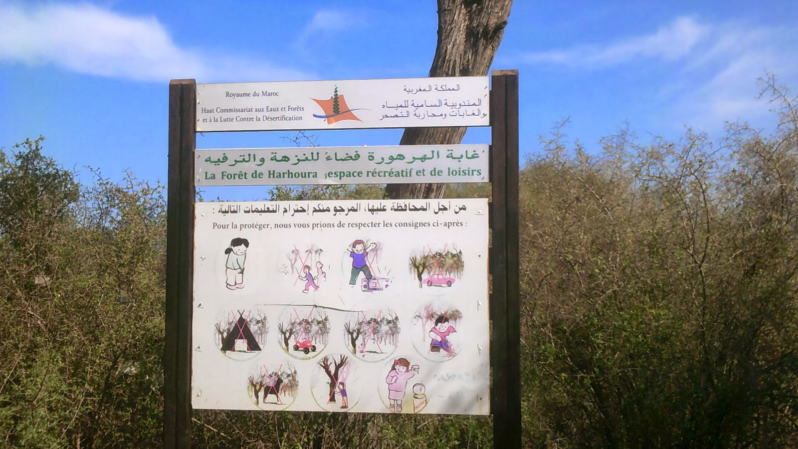 MAROC CORRECT: HARHOURA ET FORET