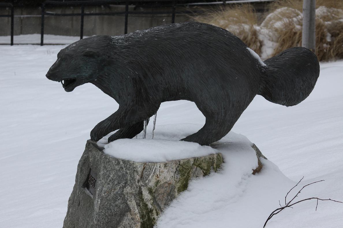 Michigan Exposures: Walking Around Michigan's North Campus