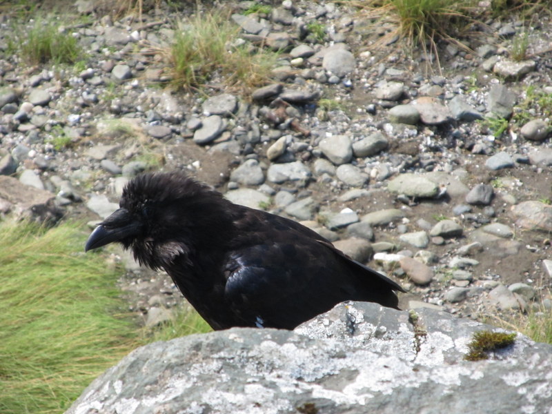 Sailing Rover: Juneau to Wrangell via Tenakee Springs, Alaska