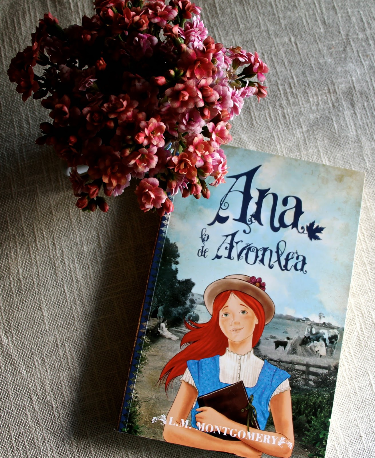 A book a day keeps the doctor away: Ana la de Avonlea de Lucy Maud ...