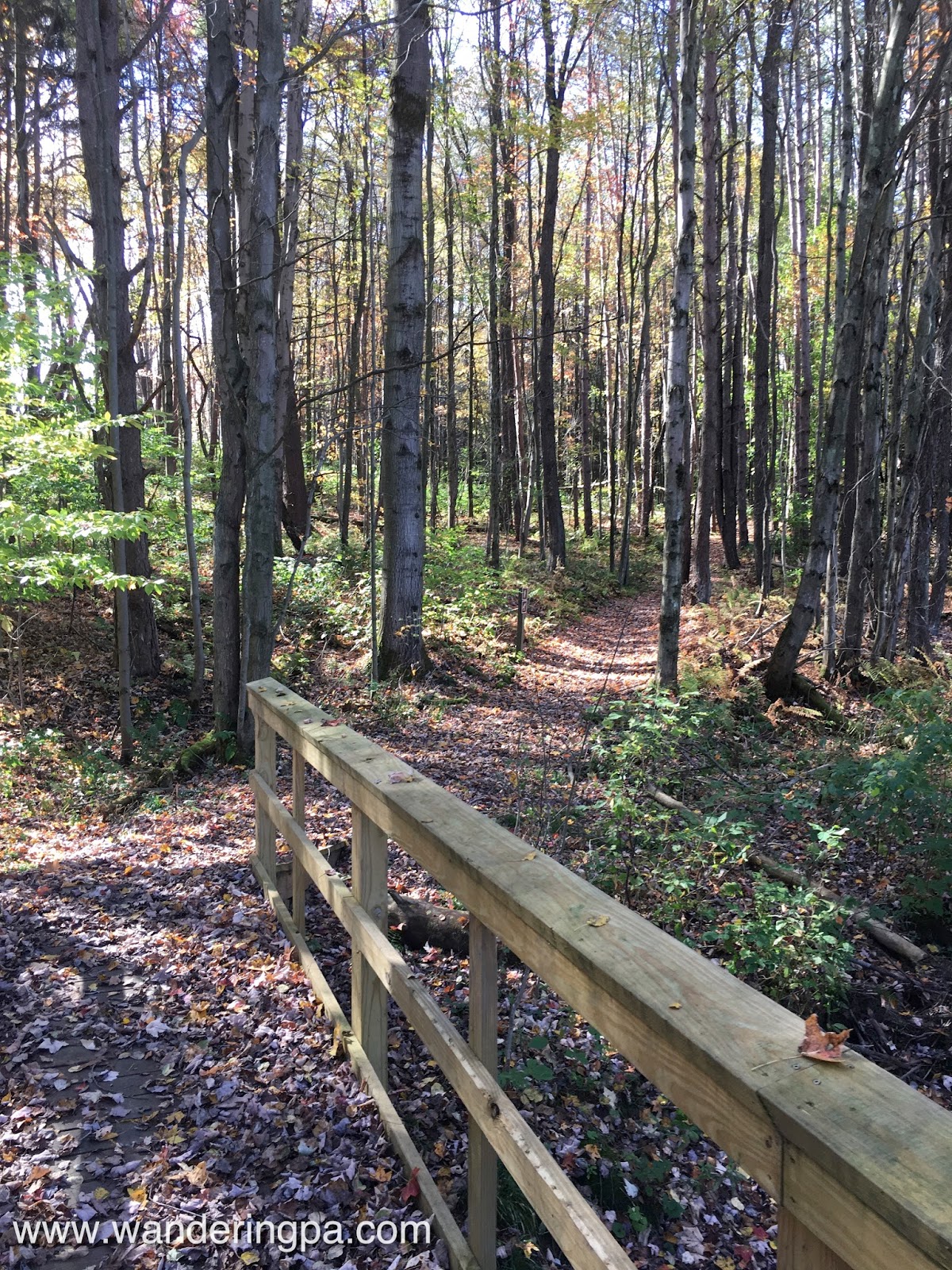 Wandering PA: Erie National Wildlife Refuge - Deer Run Trail