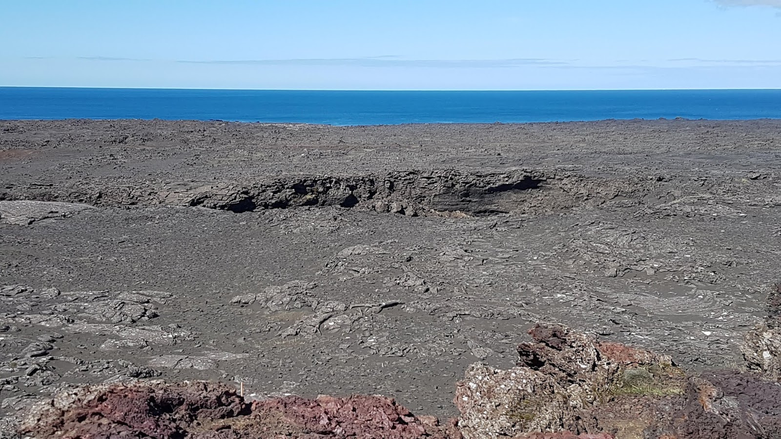 tdm2018-2019.floflonono