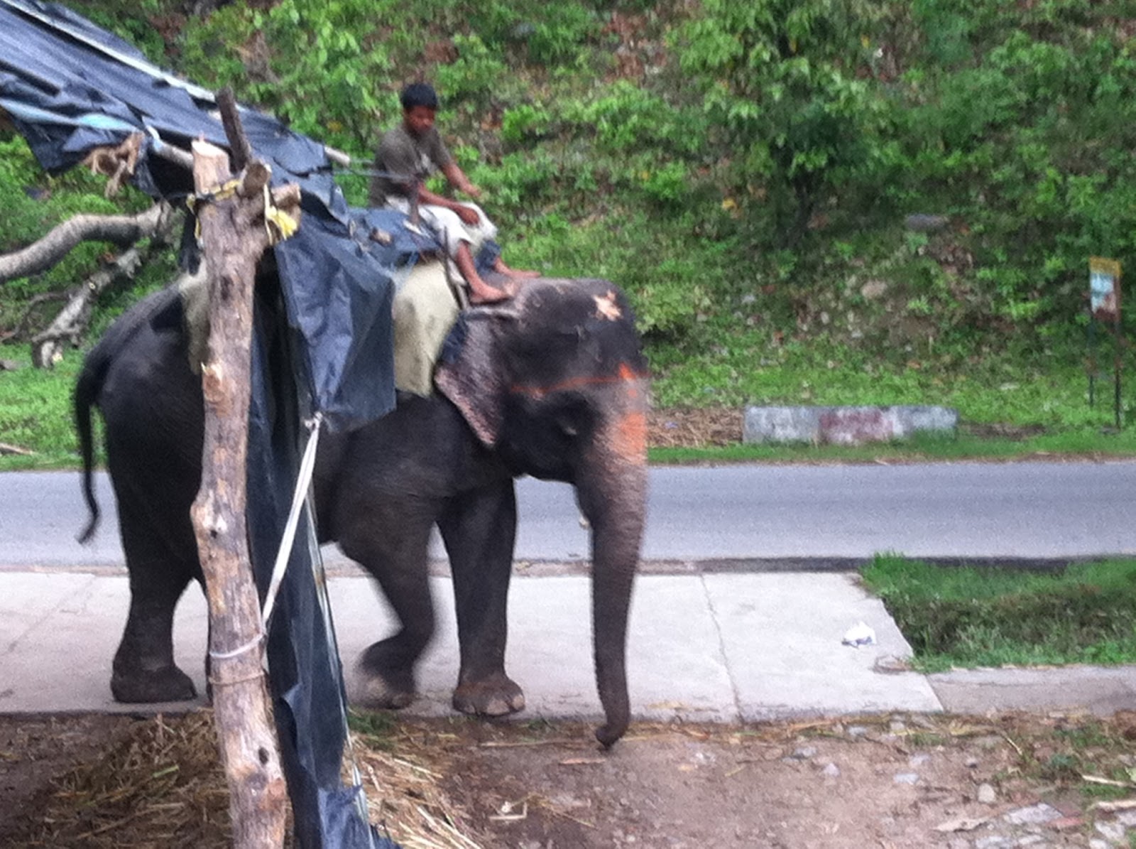 Ritinjali, can I help bring hope in their lives?