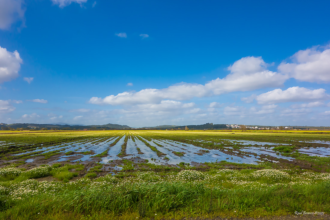 À DESCOBERTA DO MEU PAÍS: Ribatejo - Valada do Ribatejo