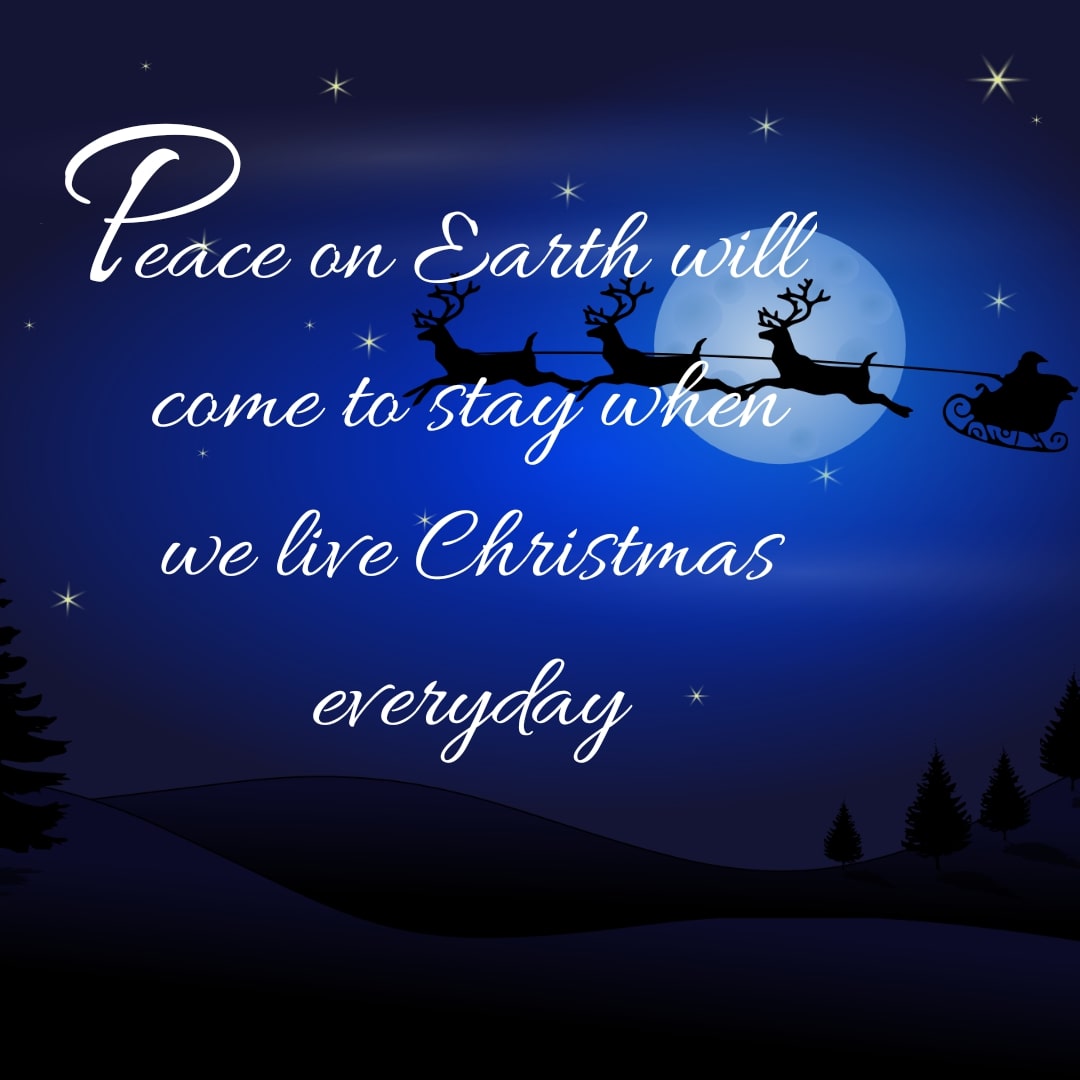 10 Wonderful Christmas Holiday Quotes,Status -to wish your friends ...