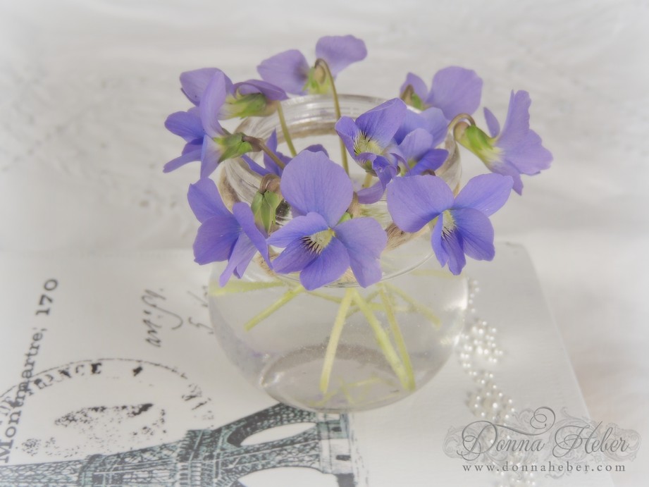 Donna's Designs: French Violets