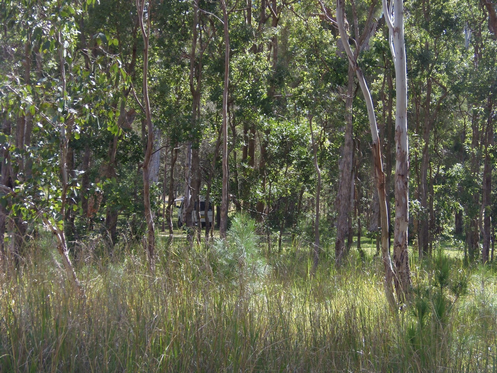 Solo Steve On The Road: TOOLOOM FALLS NSW