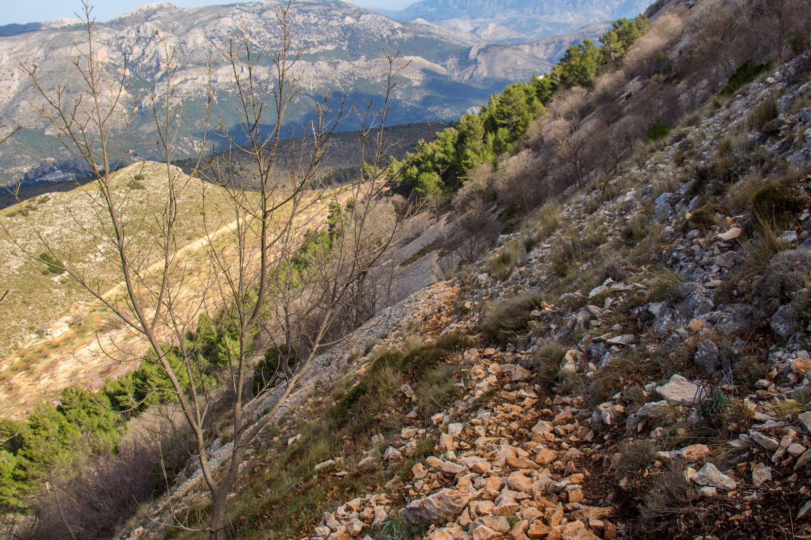 EL MADALLAR, EL PENYÓ ROC Y EL PENYÓ MULERO, DESDE LA FONT DEL PI.