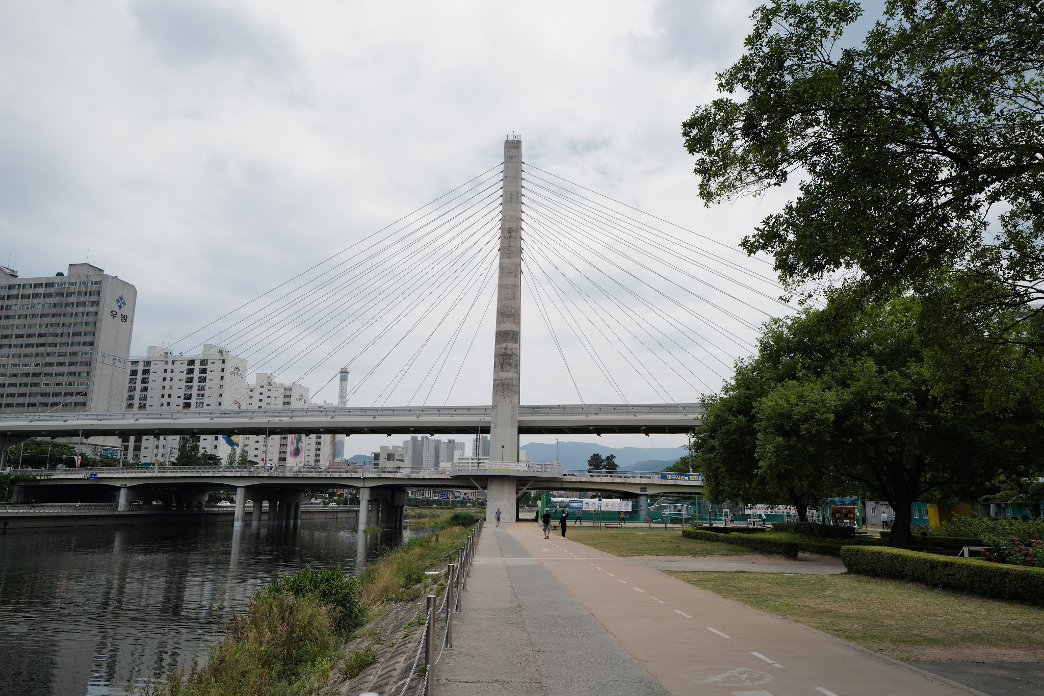 Shall we walk along the Sincheon river trail in Daegu?