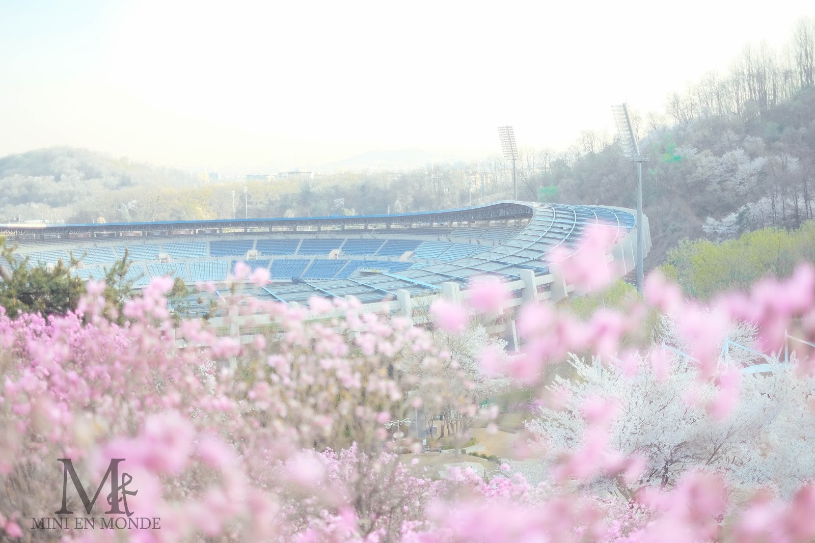 Bucheon Wonmisan Azalea Festival - 원미산 진달래 축제 - Mini en Monde