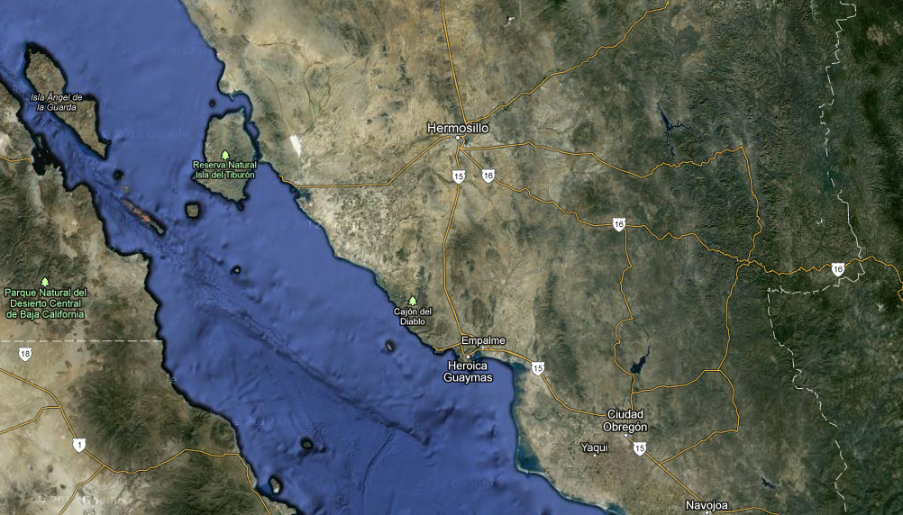 Pa'l Norte: La Isla de los Mapaches