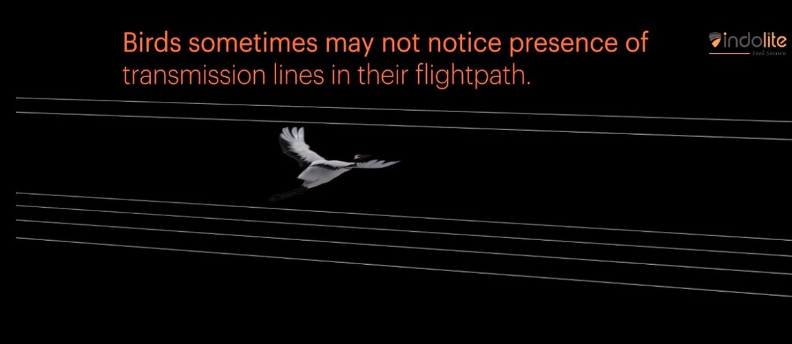 Bird Diverter | Bird Flapper/Reflector | IndoDivert – Bird Flight ...