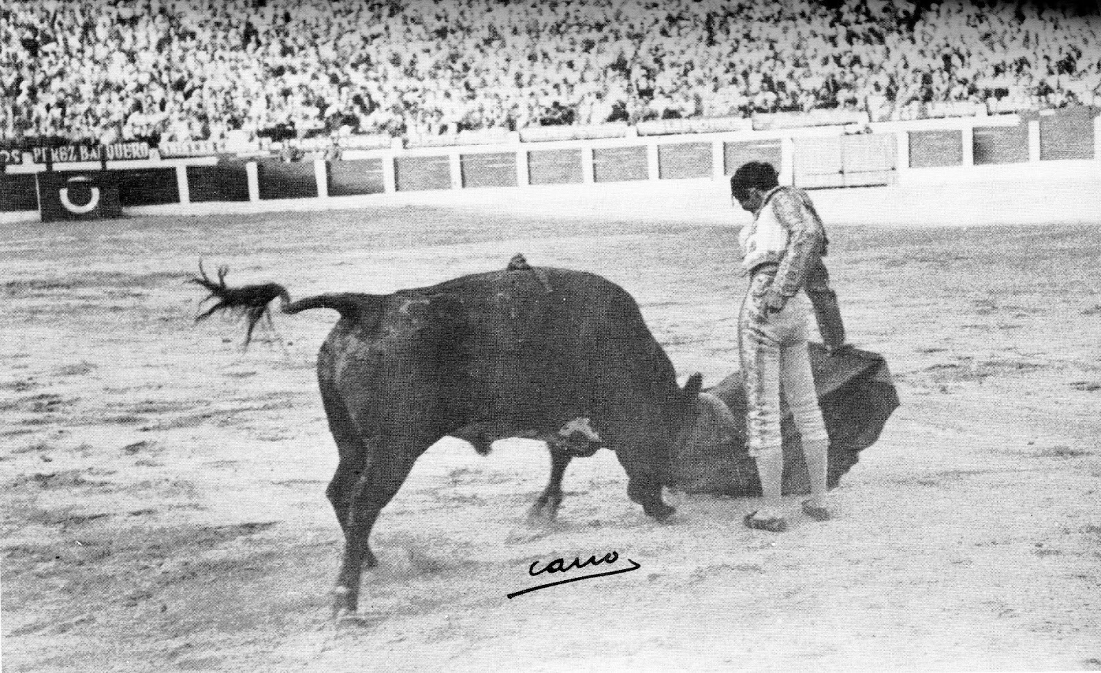 TOROS EN MONTORO: MANOLETE: Cien años del Califa Cordobés.