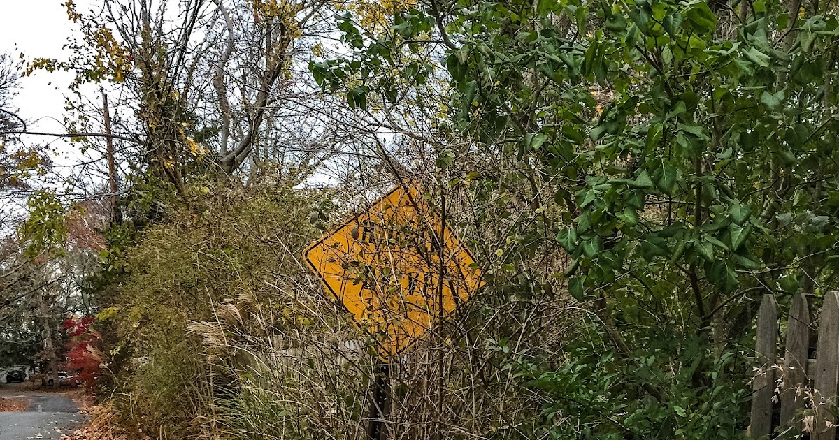 blogtacular blogtastic bloggy blog: hidden drive / hidden sign