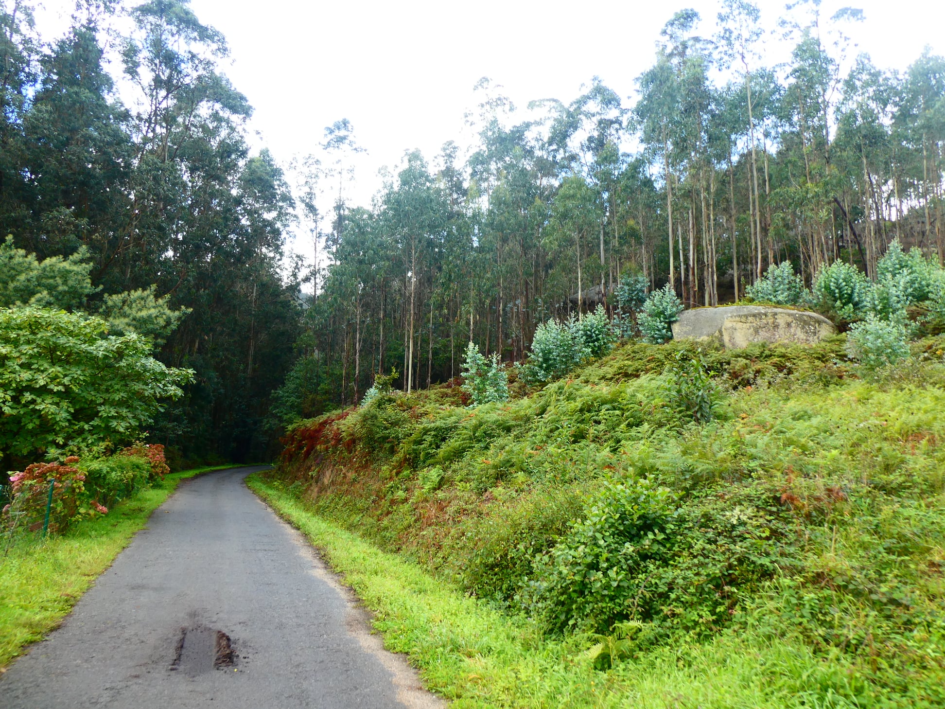 Xurde Morán: VILOALLE, EL COTO DA RECADIERIA Y SAN LÁZARO: ENLACE CON ...