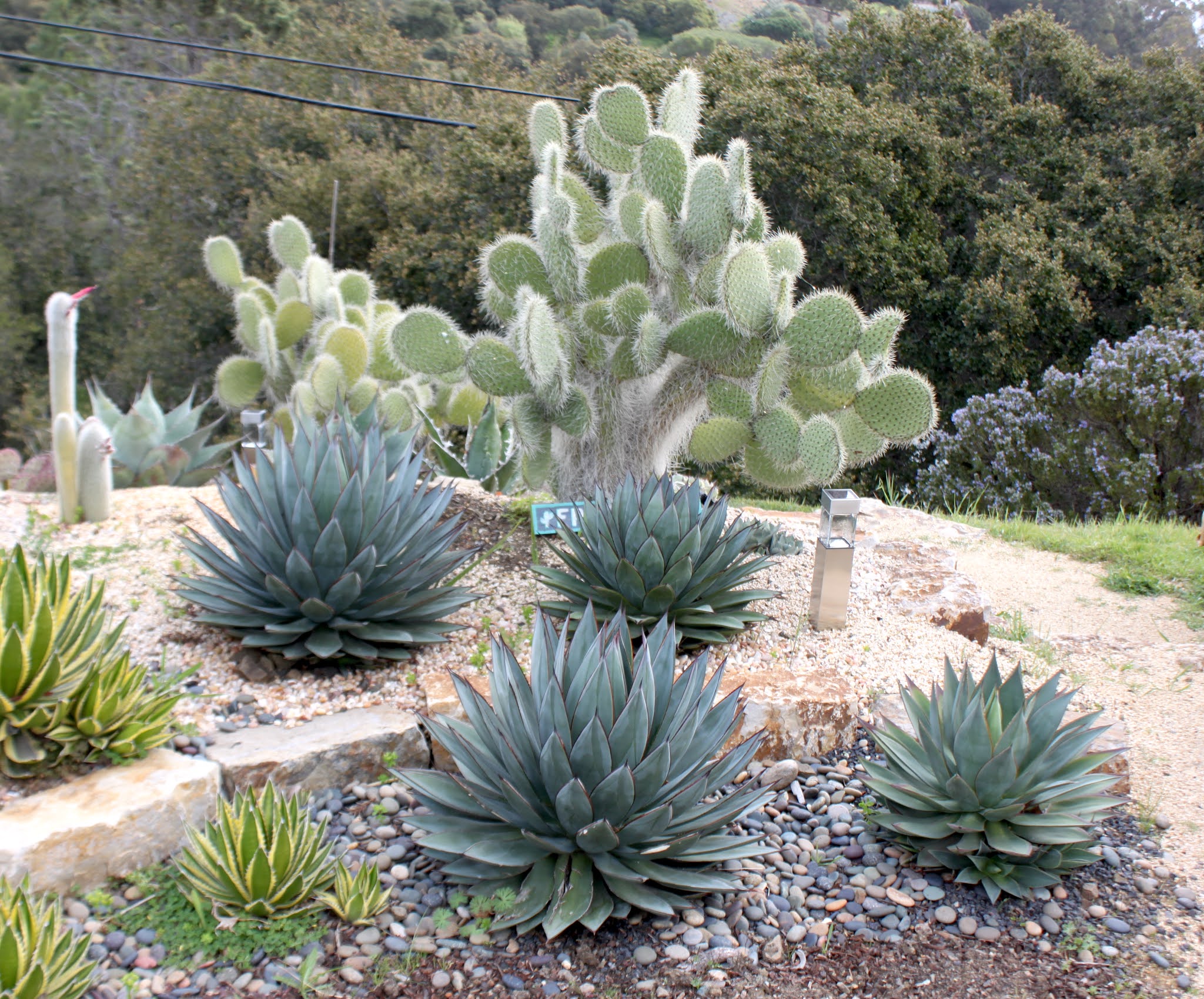 Hillside Garden Two Year Check-in