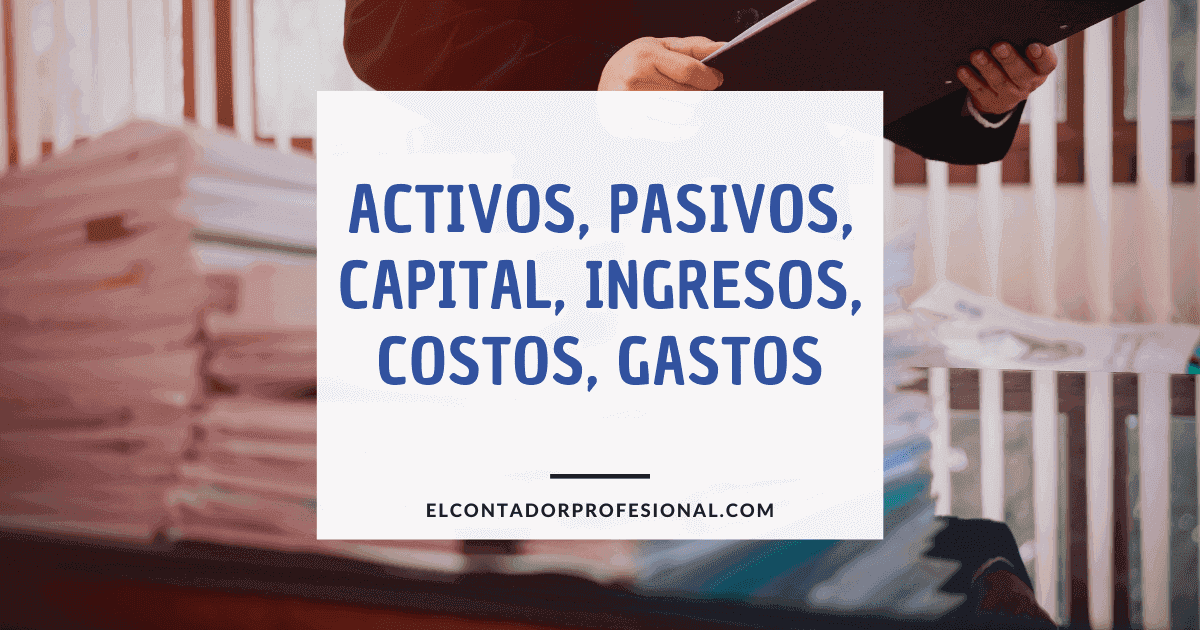 Activos, Pasivos, Capital, Ingresos, Costos, Gastos - Contador Profesional