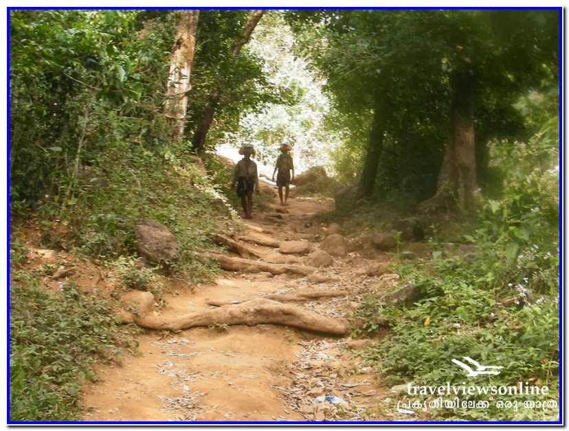 പ്രകൃതിയിലേക്ക് ഒരു യാത്ര (a travel towards NATURE): PULLUMEDU a unique ...