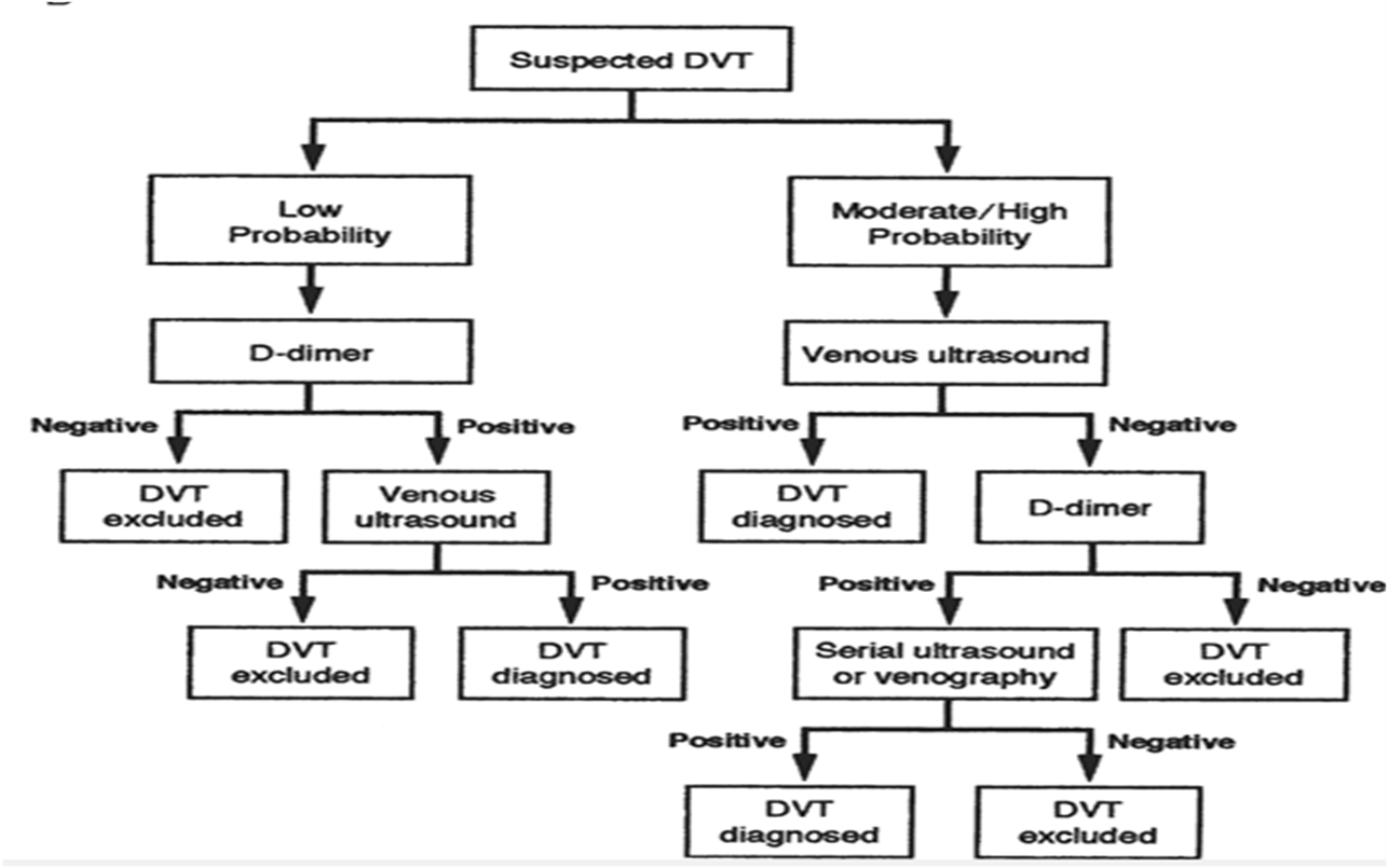 Nugicardiology: PENATALAKSANAAN DEEP VEIN THROMBOSIS (DVT)