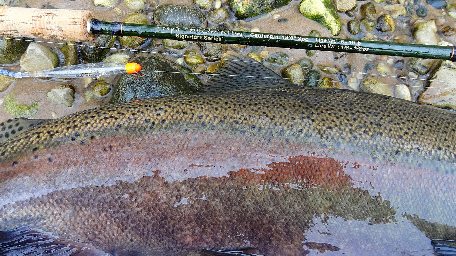 November Rains: Temple Fork Outfitters Gary Loomis Signature Series ...