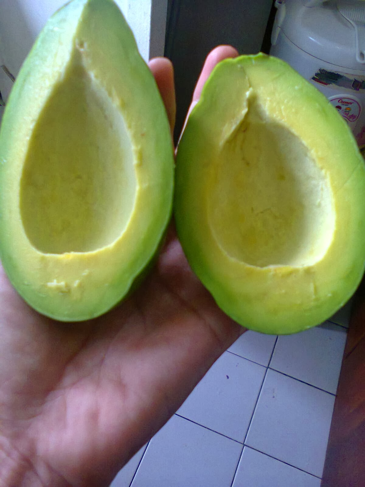 Alpukat, info dari wikipedia - Aku Buah Sehat