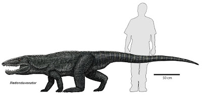 a mesozoic field guide: The Crocodylomorphs