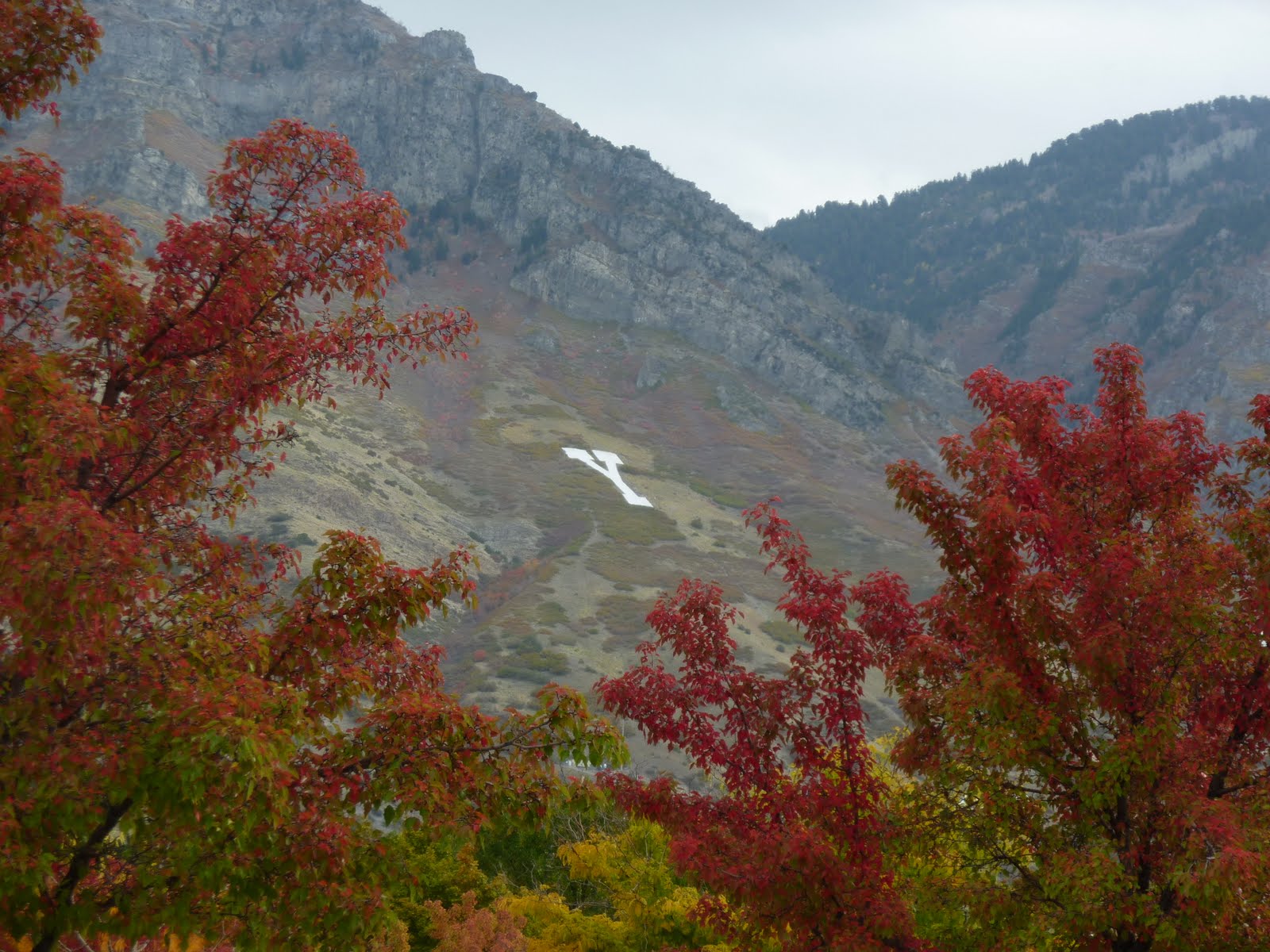 A Place to Share: Fall color shots while walking in Provo