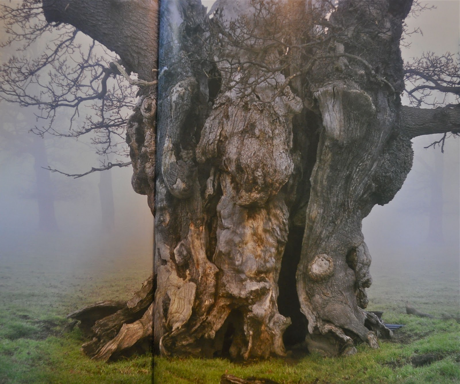 Wit's End: Freedom's Just Another Word